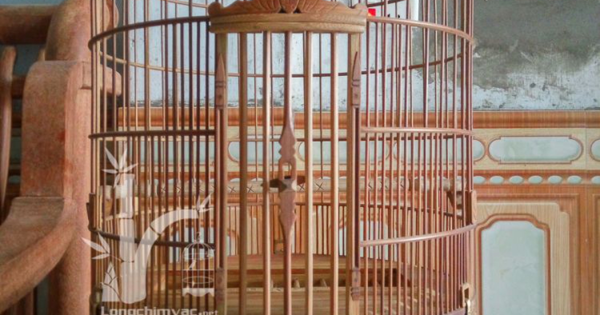 Lồng Chim Họa Mi