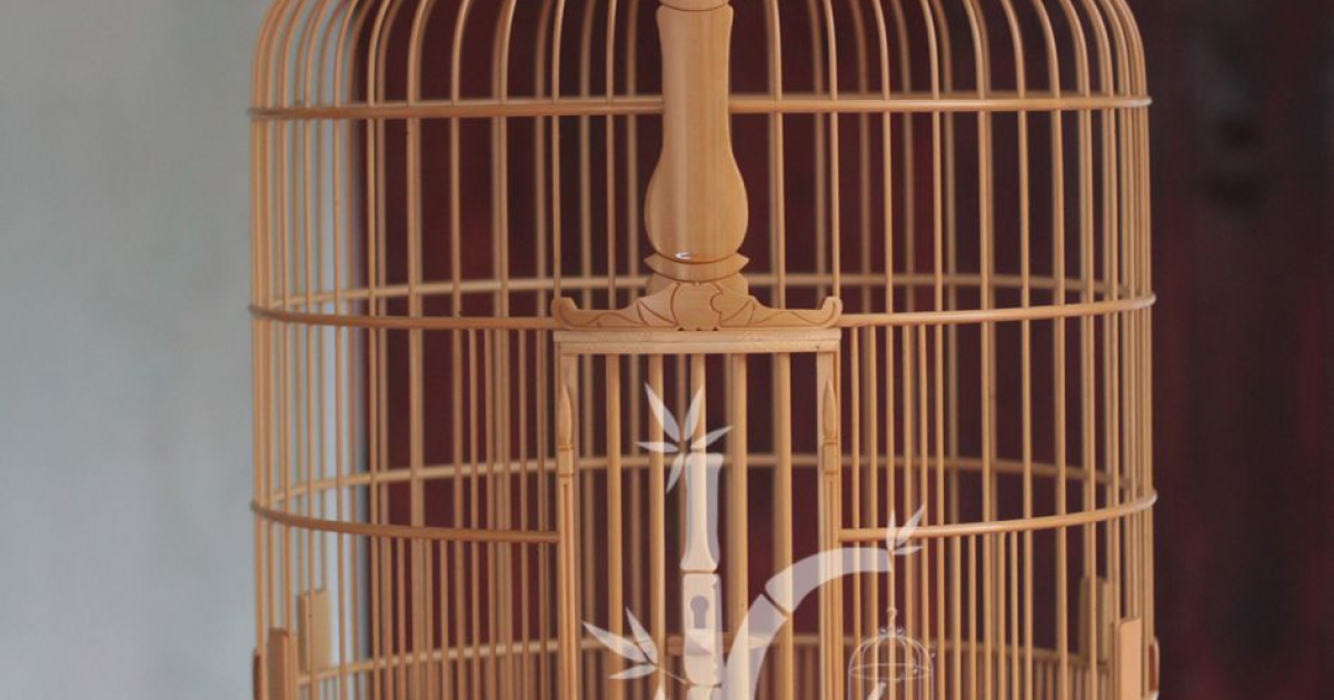 Lồng Hoạ mi trúc