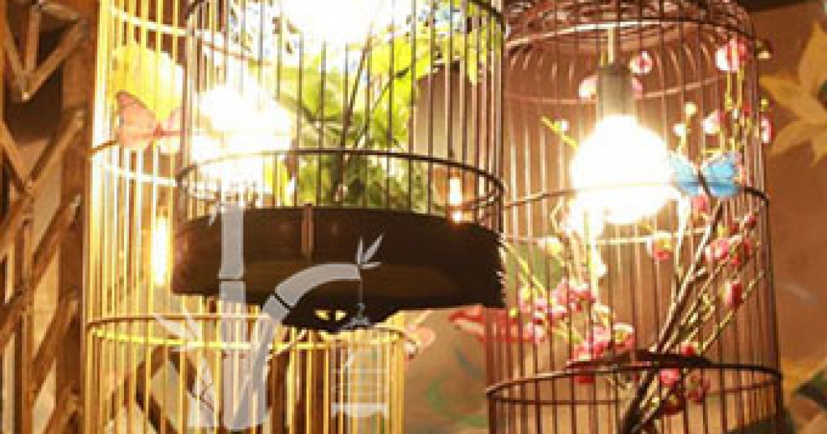 Lồng Chim Trang Trí Hoa Đẹp