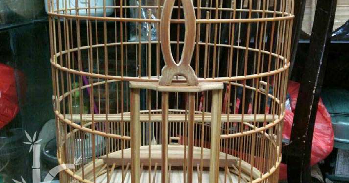 Lồng Chim Chích Chòe